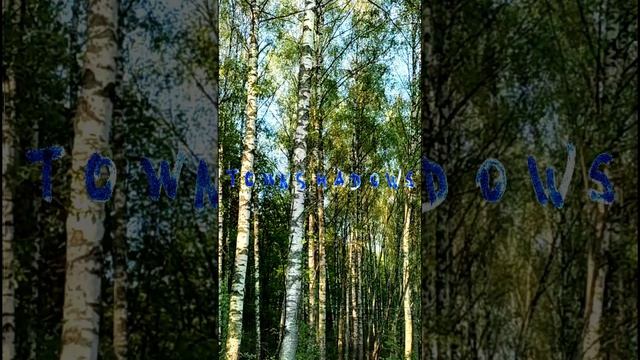 Spring Changes (intro) @Townshadows