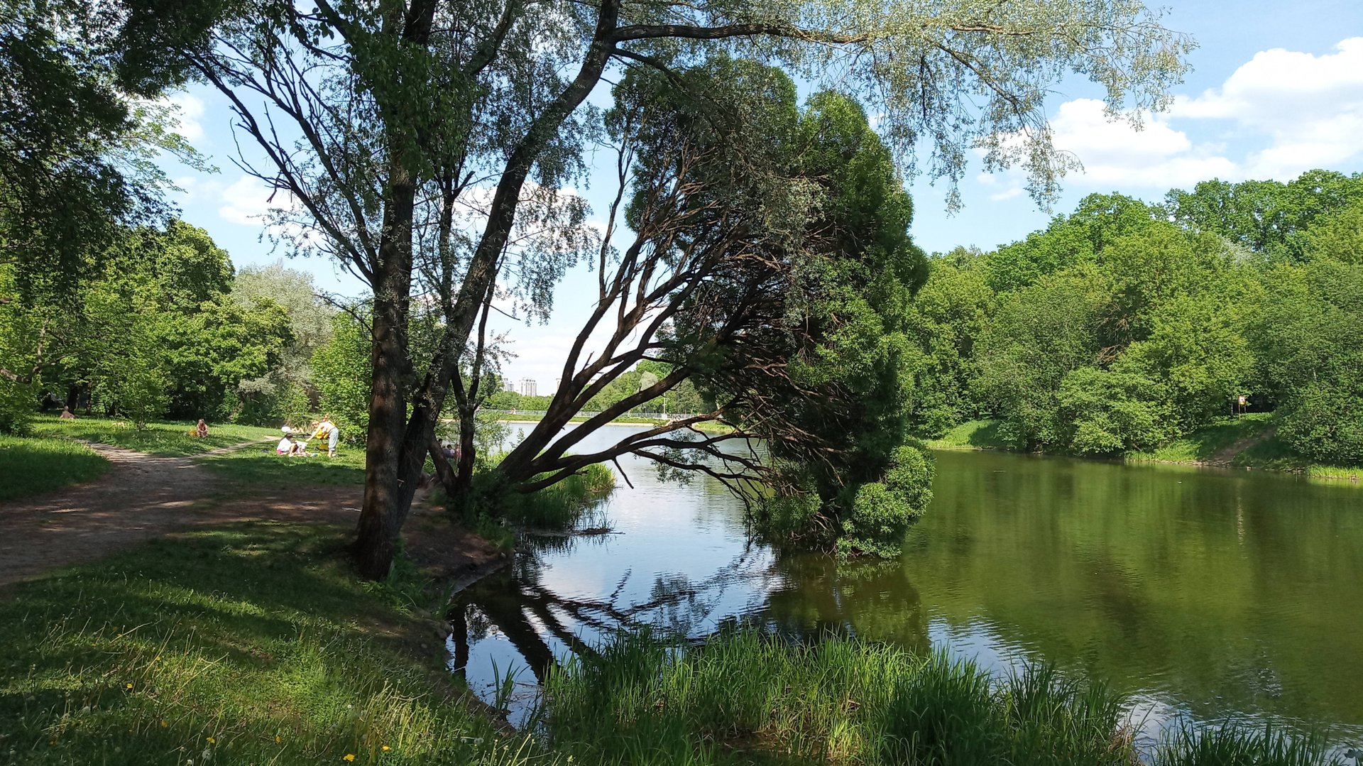 Сегодня в ботаническом саду