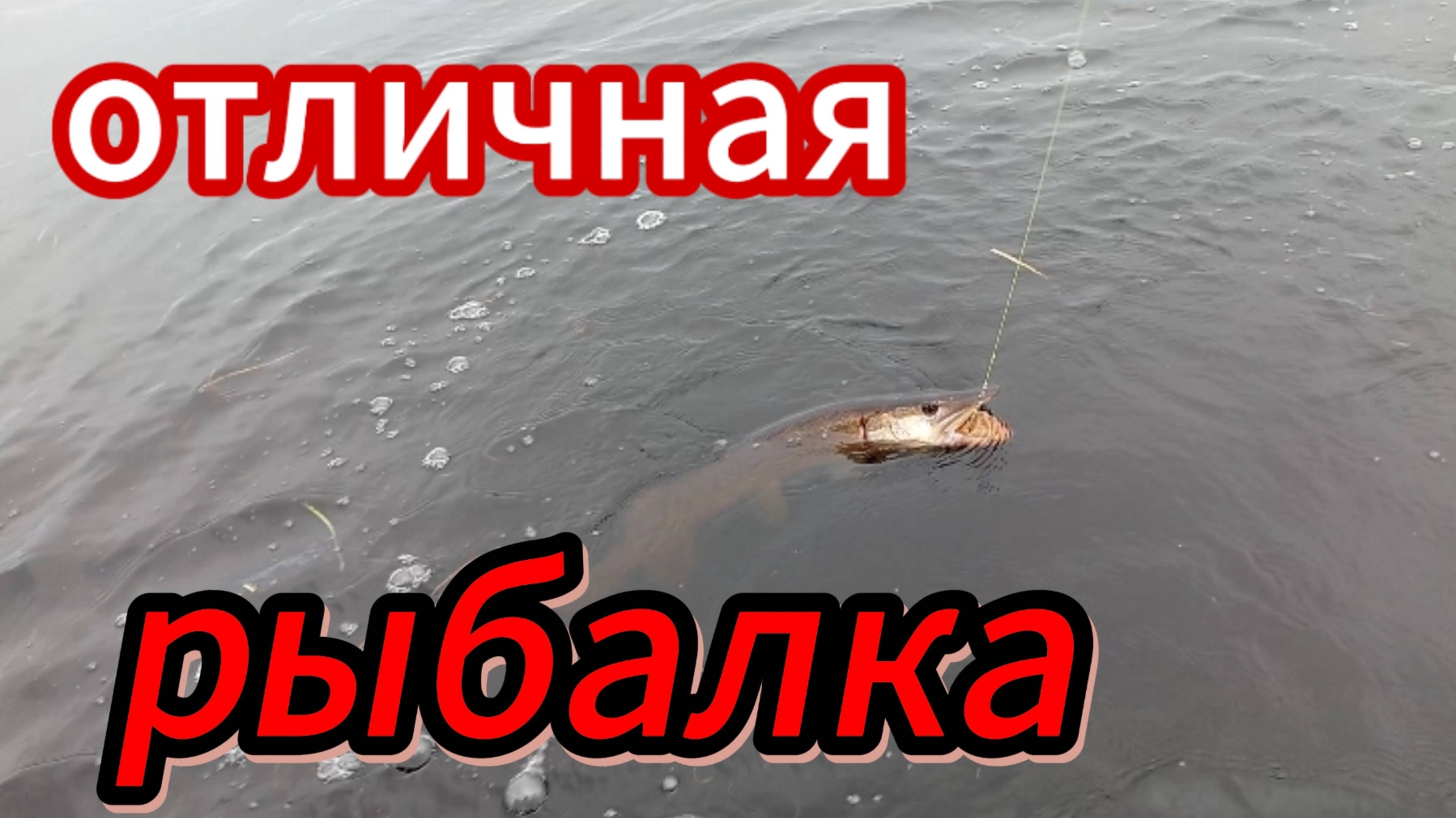 Рыбалка со спиннингом, отличная рыбалка по щуке и окуню