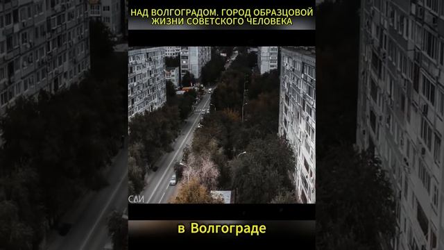 Несколько слов о Волгограде 2