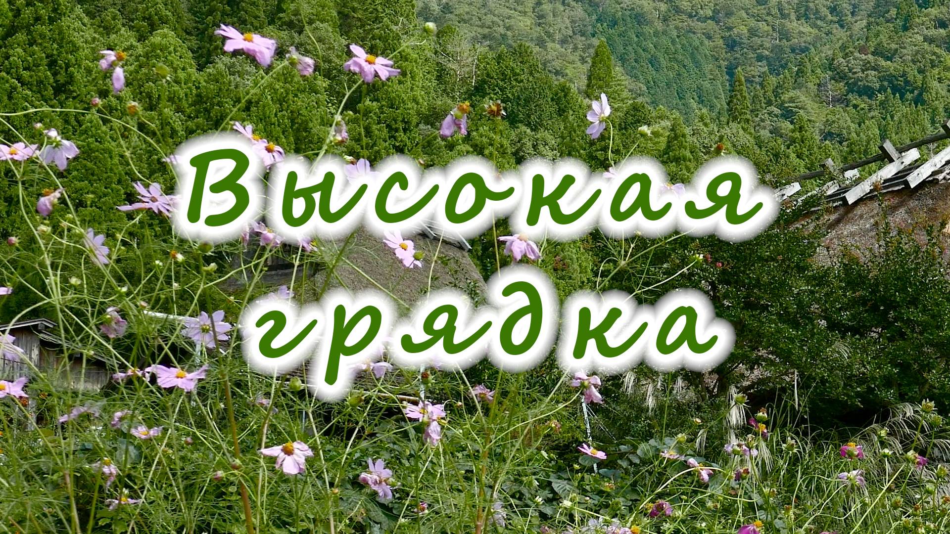 Высокая грядка