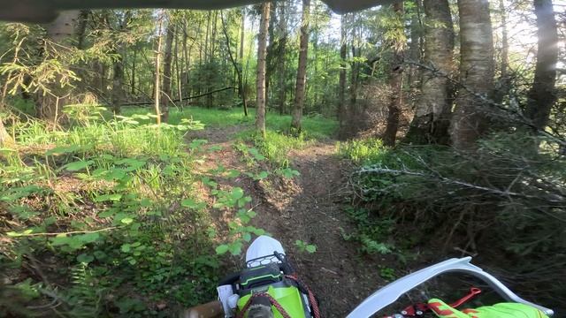 Суббота на Фазе - расчистка