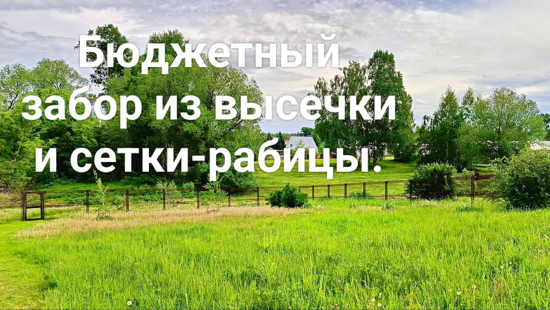 Забор из высечки и сетки-рабицы. Огораживаем огород.