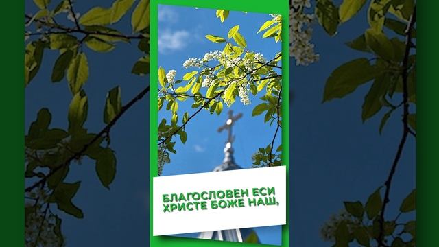 С праздником Святой Троицы!