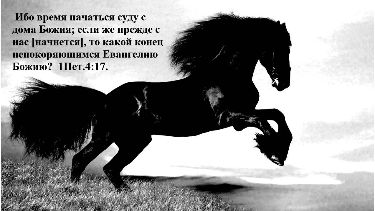 Откровение 12 часть подготовка к Инаугурации 1