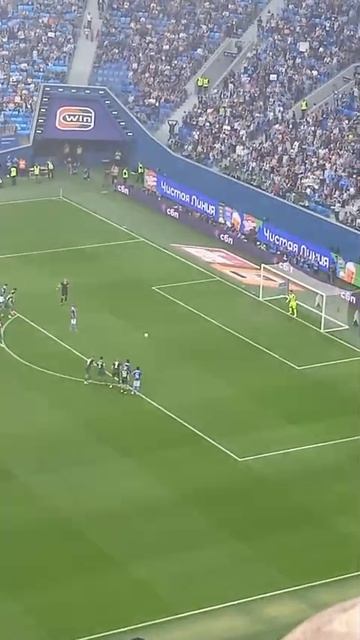 Зенит чемпион