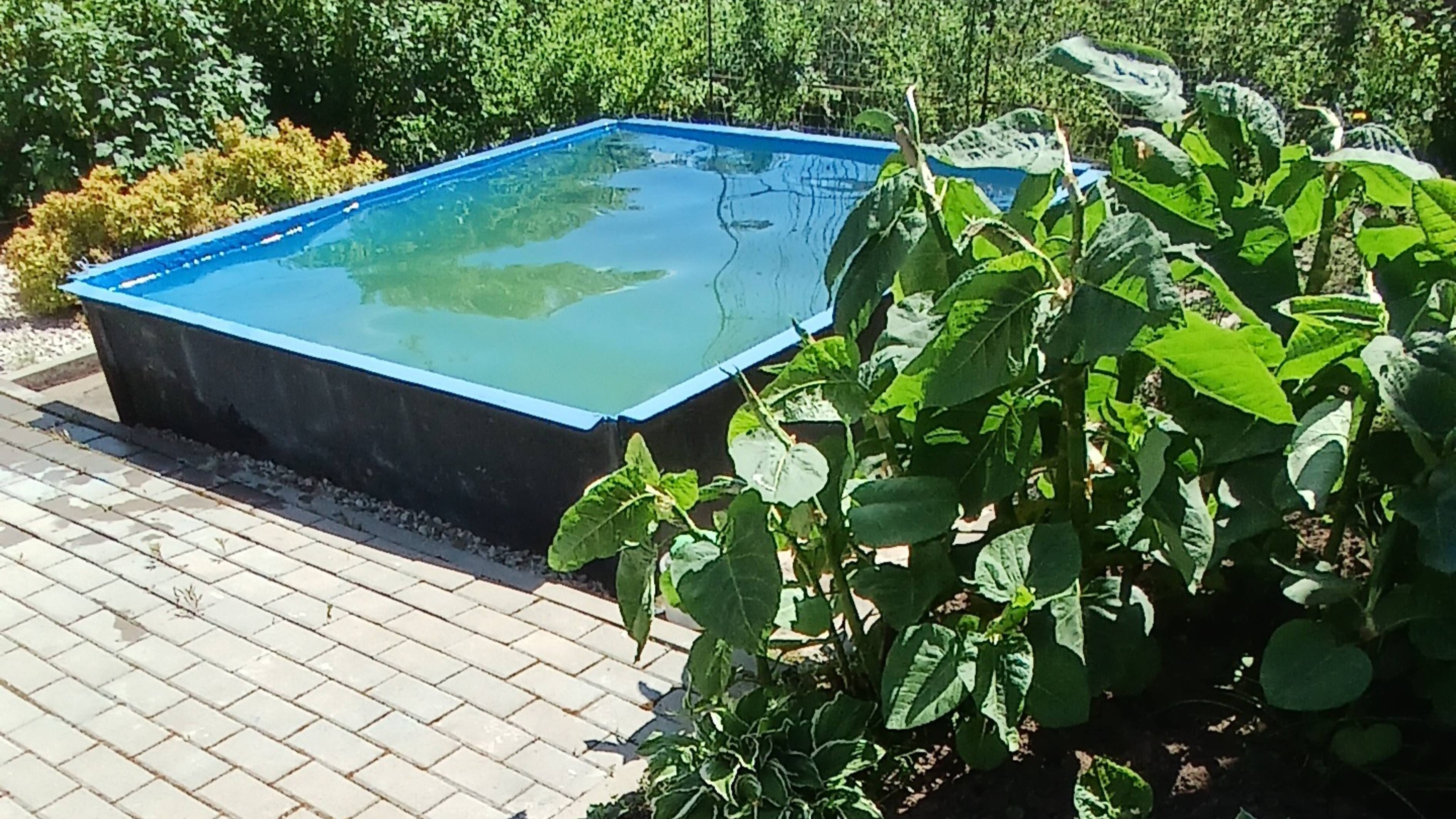 Наступила лето, у нас жара!