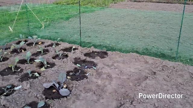 Дачные работы