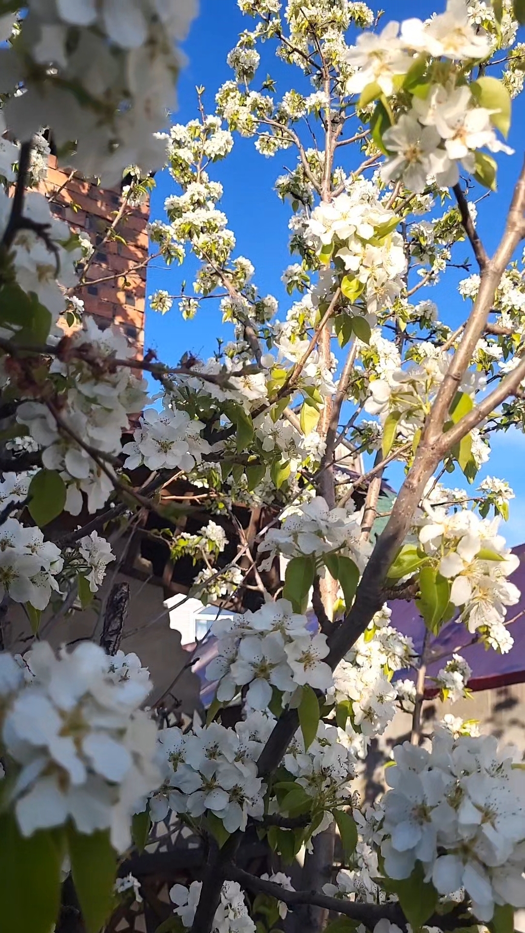 Красота! ❤️