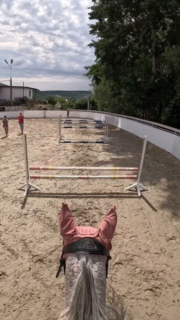 Тык дык гоп