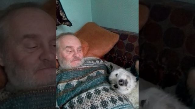 Сторожевая собака