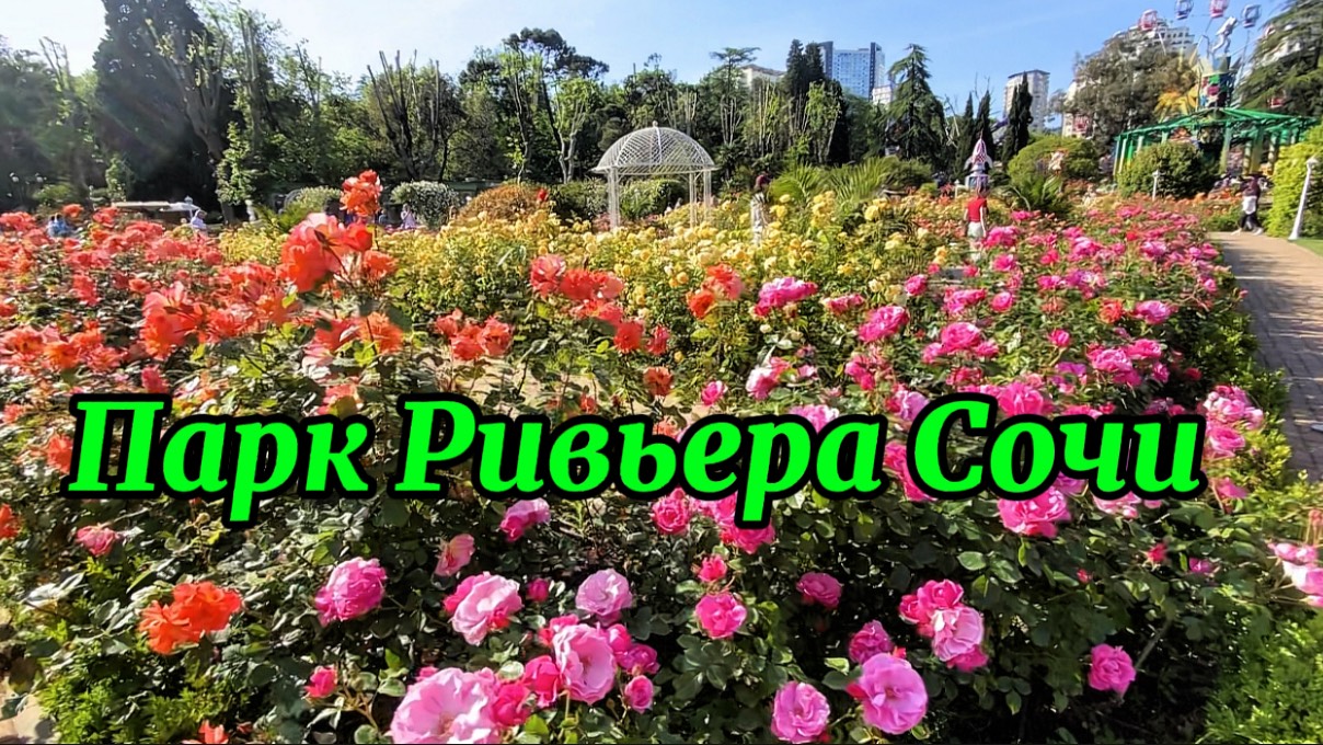 Прогулка по парку Ривьера Сочи. Цветущий Розарий.