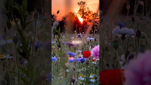 Живее всех живых  #пробуждение #просветление #реализация #психология #saima #любовь #истина