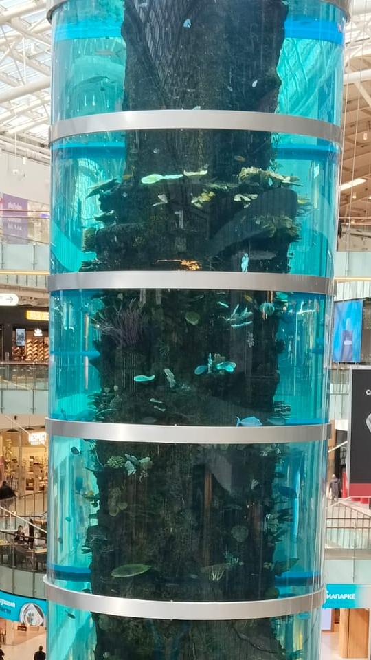 Это  самый большой цилиндрический аквариум в мире
