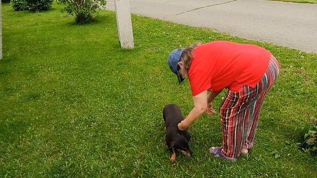 Всем нужна любовь