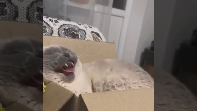 Когда во сне упал.