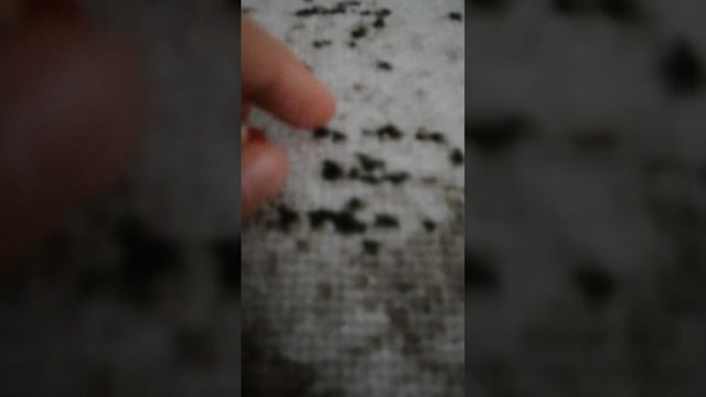 Обзор сто умеют юниты и монстры в товер дефенс