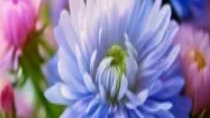 ИЮНЬ--КОЗЕРОГ(таро)