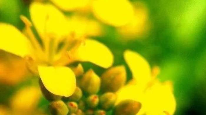 ИЮНЬ--ВОДОЛЕЙ(таро)