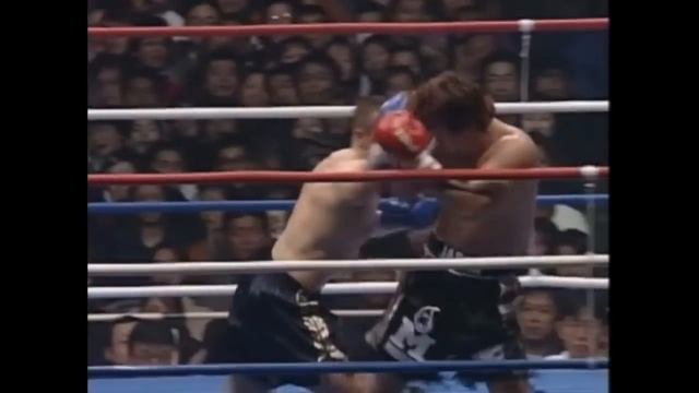 Cro Cop's Best Knockouts : Mirko Filipovic