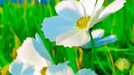 ИЮНЬ--ОВЕН(таро)