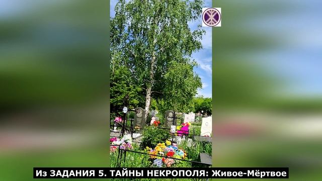 Место моего пребывания из ЗАДАНИЯ 5. ТАЙНЫ НЕКРОПОЛЯ: Живое-Мёртвое