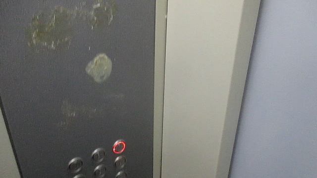 Грузопассажирский лифт Ecomaks-(ЩЛЗ) @ К.О. г. Малоярославец, ул. Московская, д. 79Ак2-1 (10)