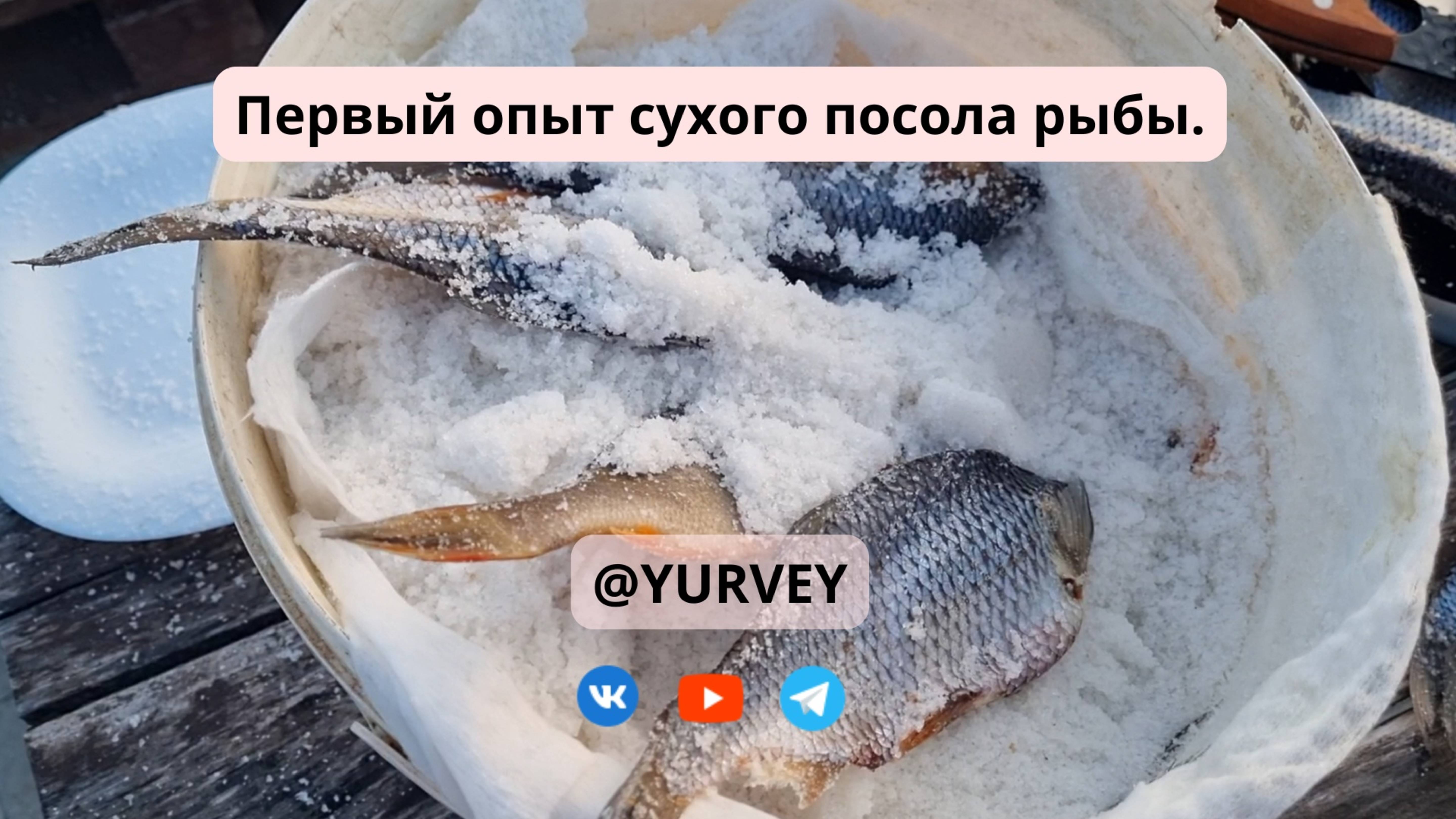 сухой посол рыбы- результат