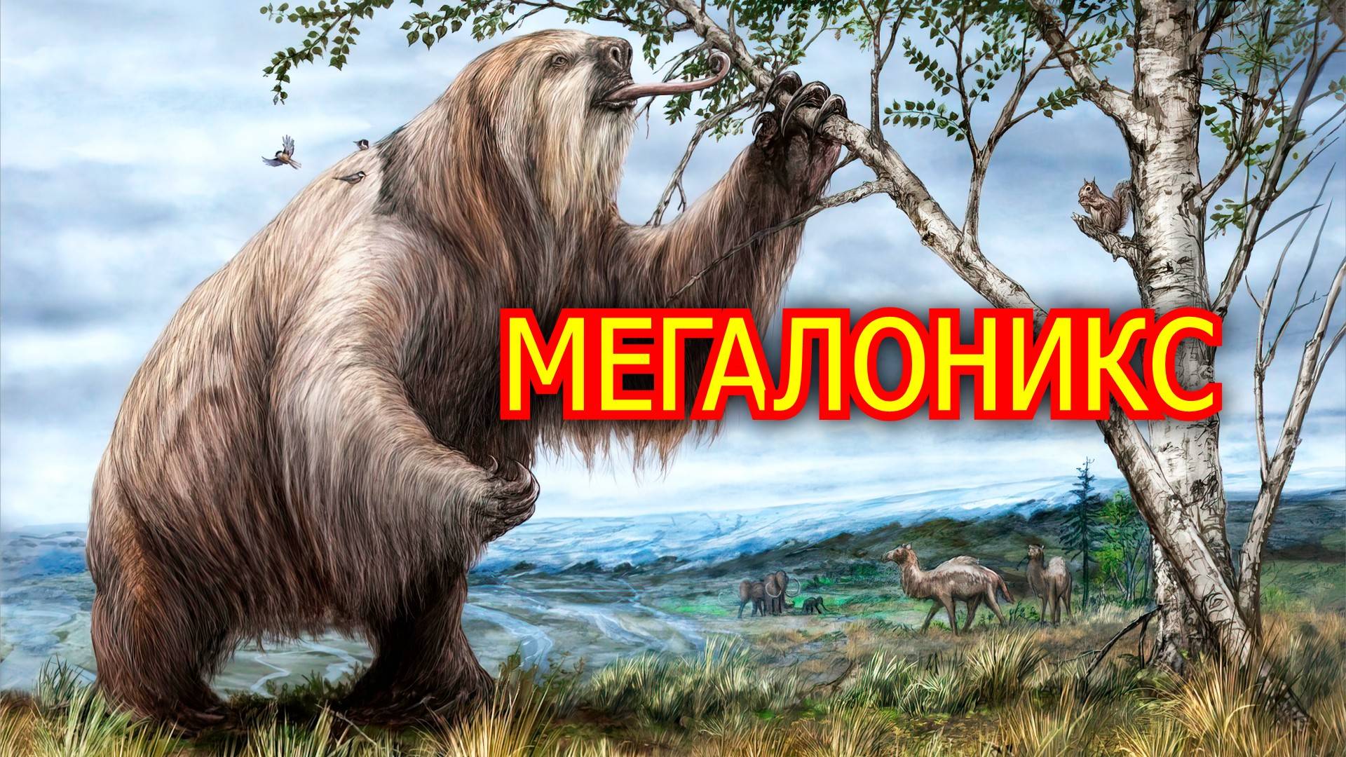 Мегалоникс. Гигантский ленивец скромных размеров. Вымершее животное. Видео про животных