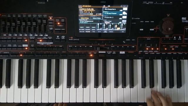 Atmospheric melody 80s (classic italo disco Korg Style Danekoo1)2021_22