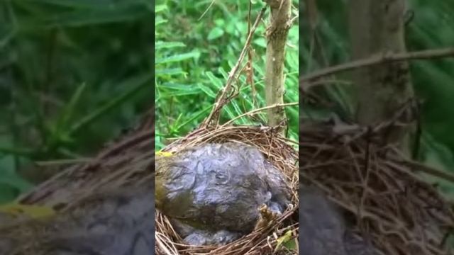 Заботливая мама