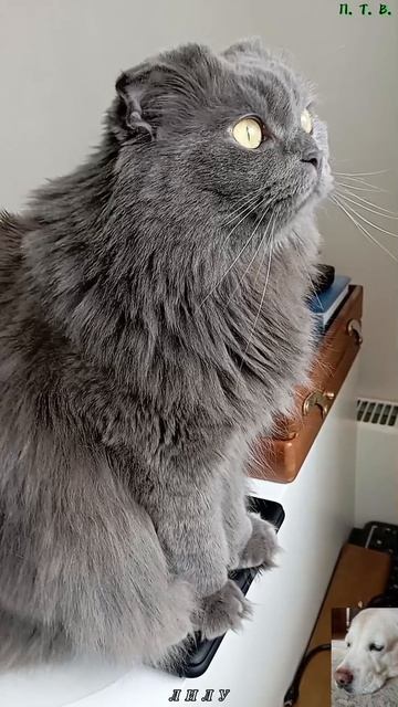 Картина маслом