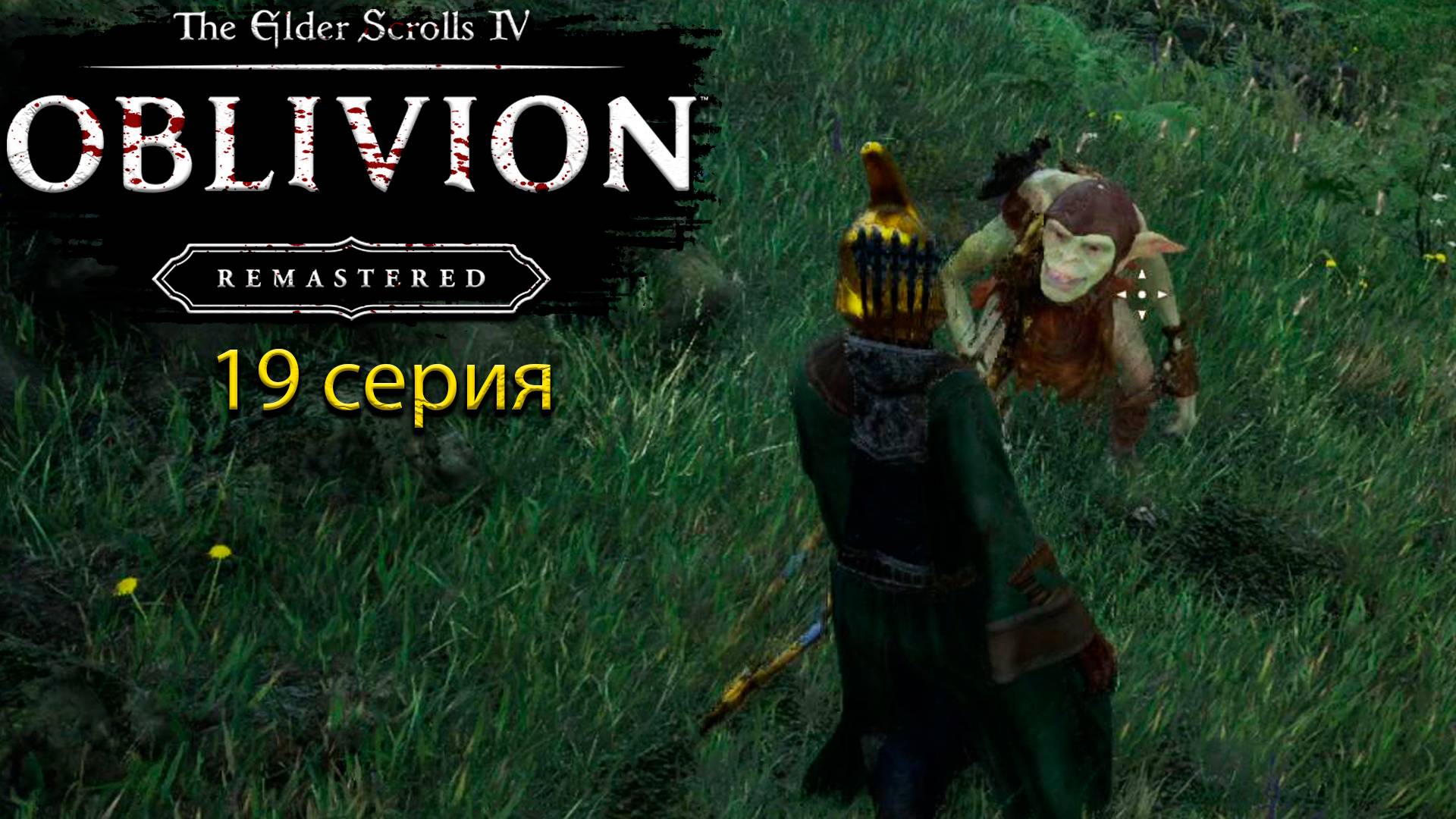 Папка вступил в гильдию магов - The Elder Scrolls IV: Oblivion Remastered - Прохождение игры #19