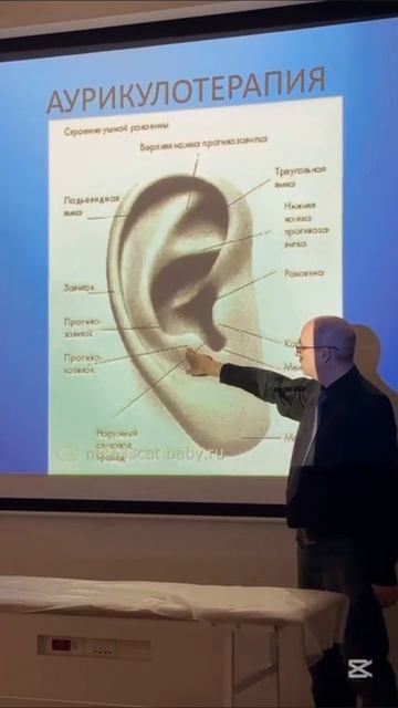 Аурикулодиагностика - учебный семинар УЦ ДПО Лауста #КацнельсонМаксим #Лауста #Диагностикапоуху