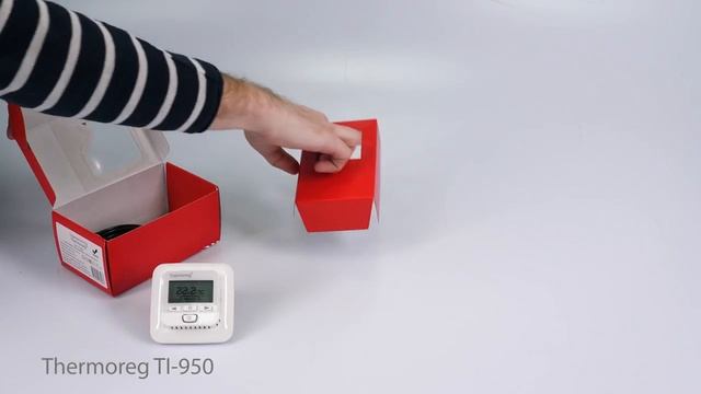 Thermoreg TI-950 - Терморегулятор