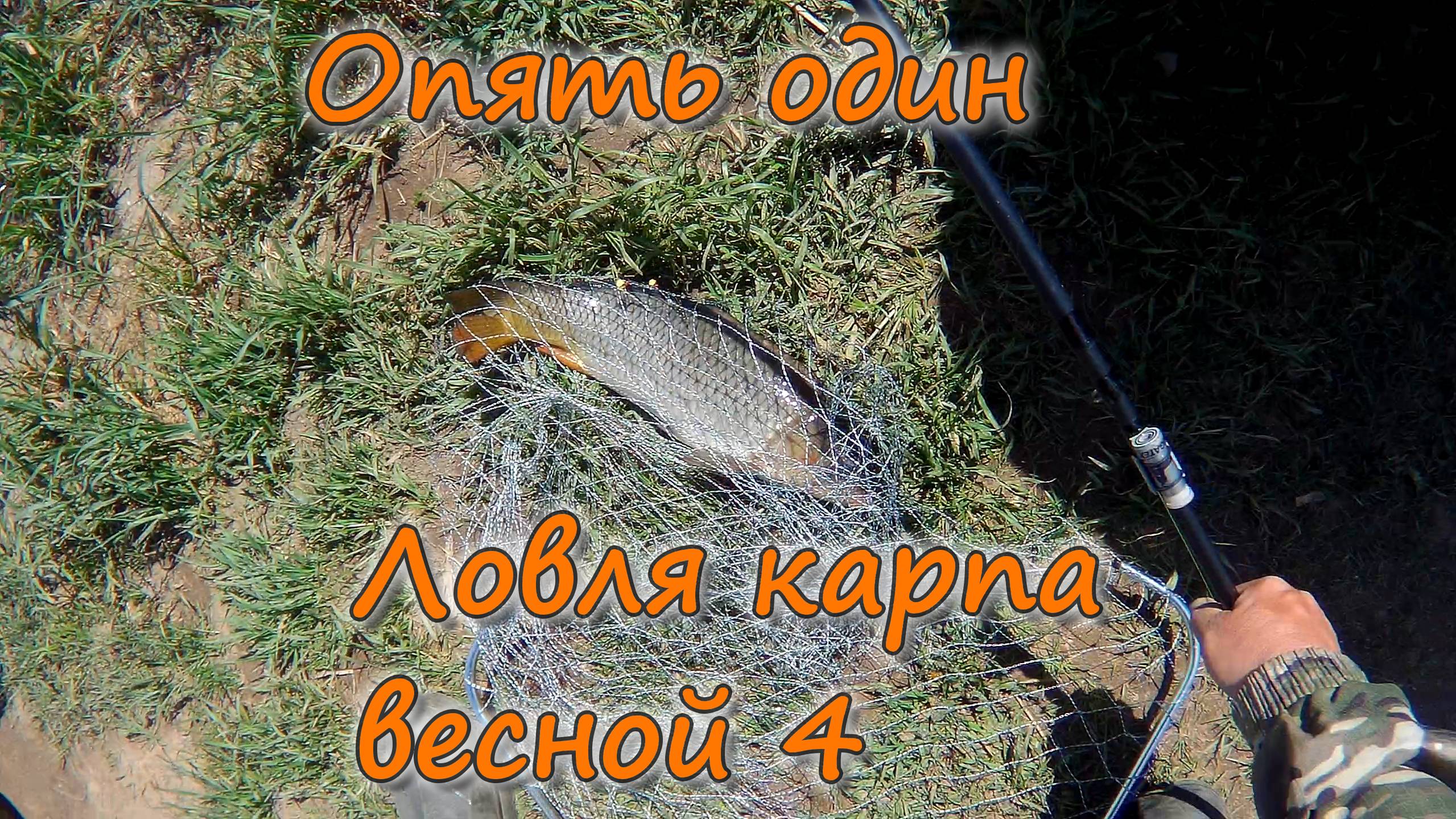 Опять один Ловля карпа весной 4 2025