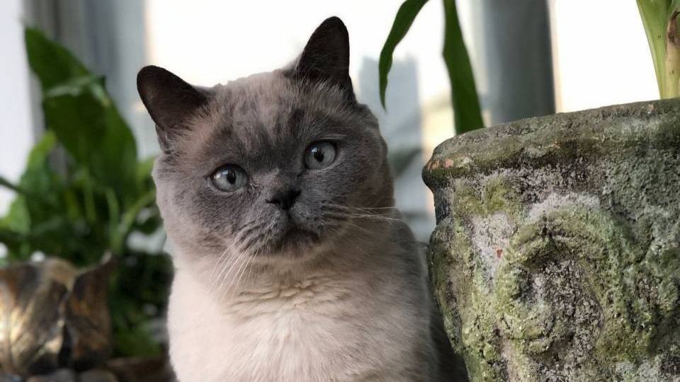 Алисавет Отзыв не такой, как все