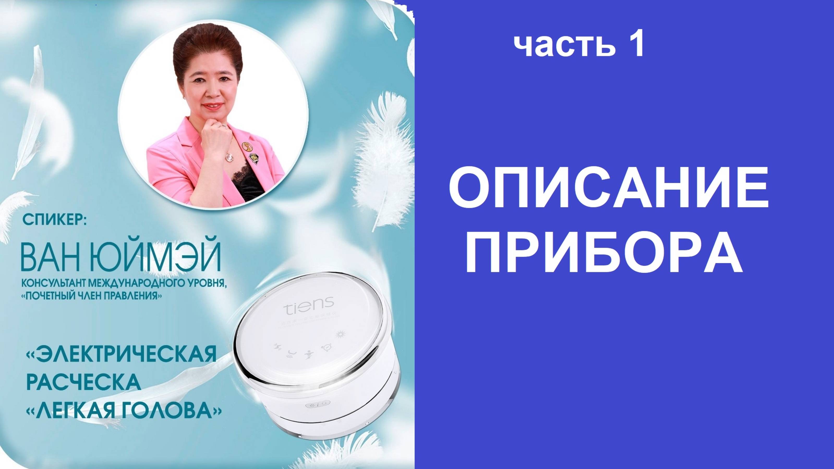 1.ОПИСАНИЕ ПРИБОРА "Электрическая расческа ЛЕГКАЯ ГОЛОВА"