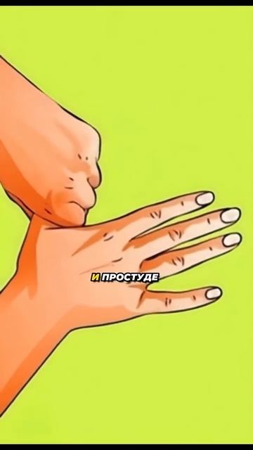 В СССР ЭТО ЗНАЛИ ТОЛЬКО ЦЕЛИТЕЛИ