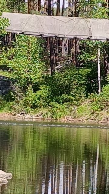 Парк Тортуга Саяногорск Хакасия