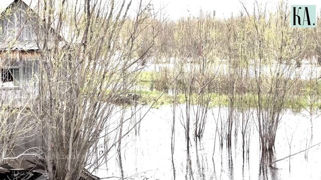 паводок 26.05.2025