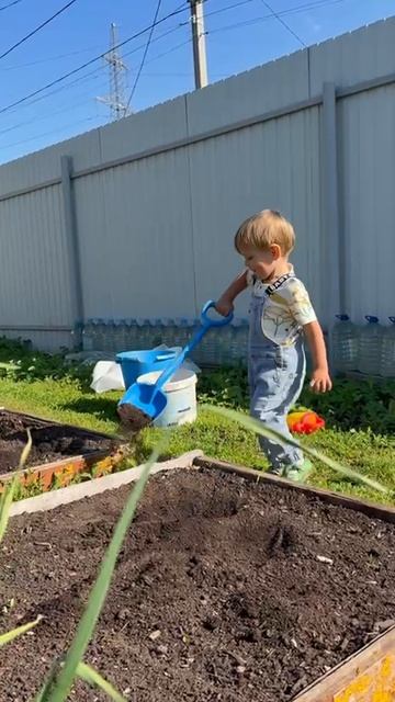 Глеб на даче