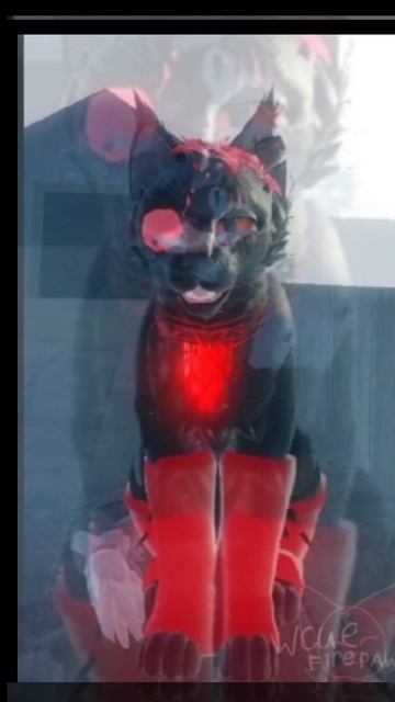 Эдит Огненой лапе из Лесных котов