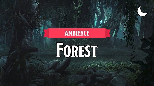 Forest (Night) D&D TTRPG Ambience 1 Hour by Bardify