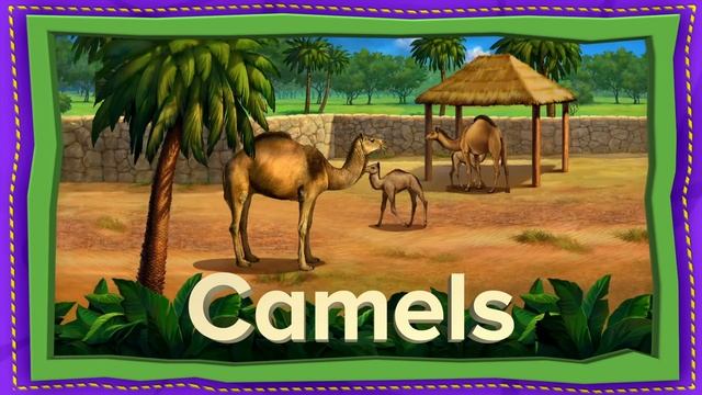 Zoo Adventure by ABCmouse 🐼🦜🐅 _ 15 MINUTE FULL EPISODE _ Pandas and Parrots _ Preschoolers