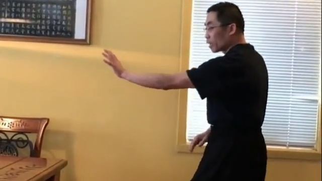 Хай Ян Уроки Синъи (проект «Возвращение китайской практики») на русском языке-4