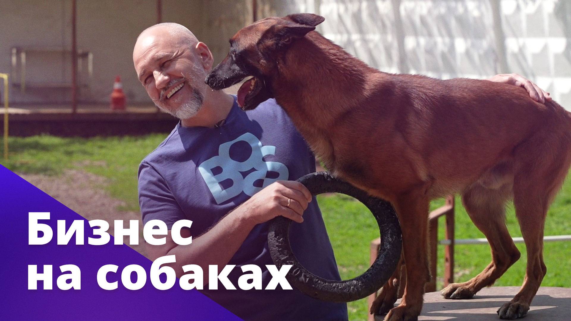 Как заработать на любви к животным? БОСС ЕСТЬ ВОПРОС