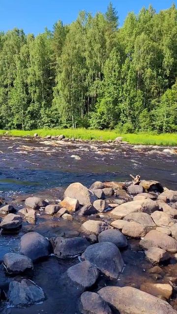 Карелия 2024. Река Шуя. Сойважпорог. Июль 2024г (Часть 3)