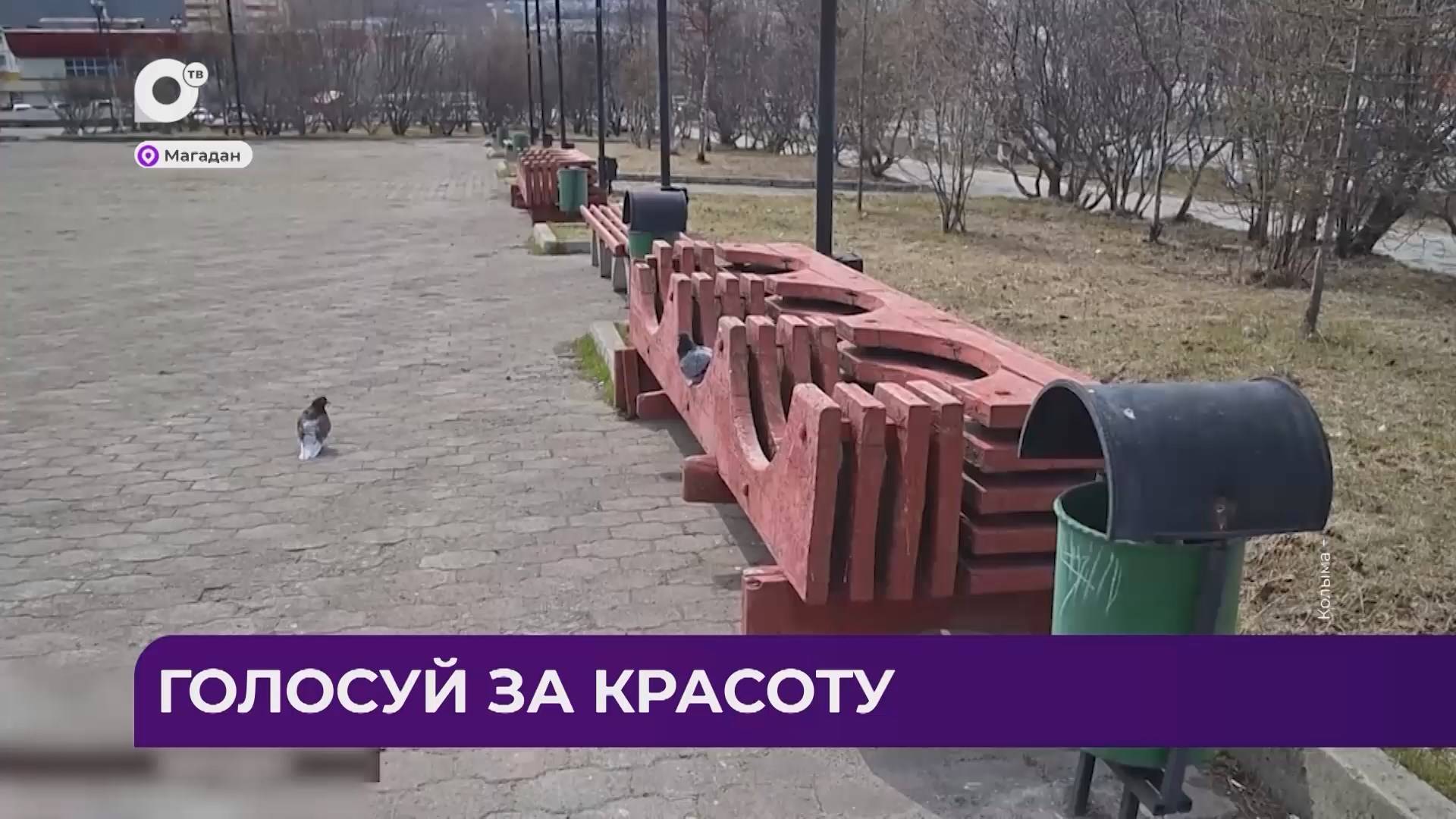 Дальний Восток Блиц / 26.05.25