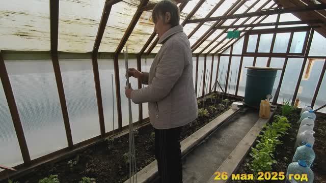 7 соток. Ставлю опору для цветов и помидор. Хроника 26 мая 2025 год
